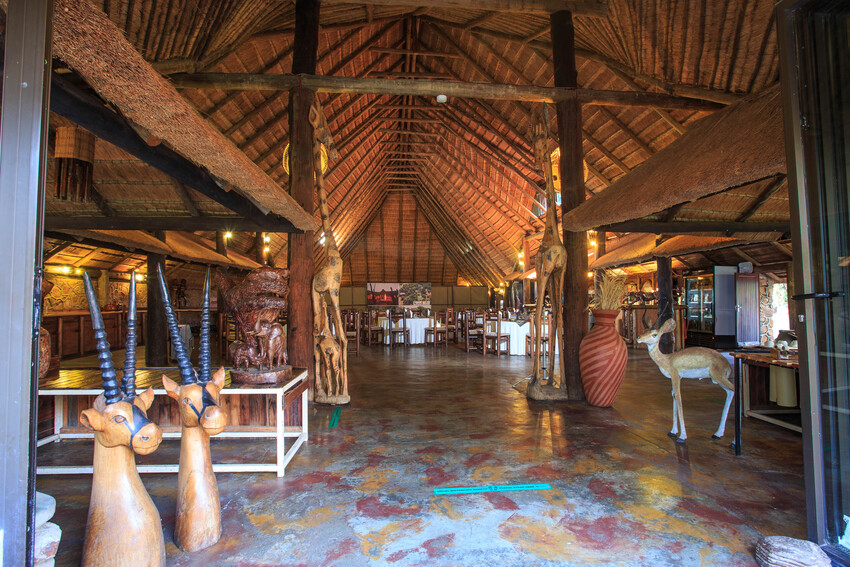 Fair Trade Certified and Forward-Thinking: Kwalata’s Inclusive Safari ...