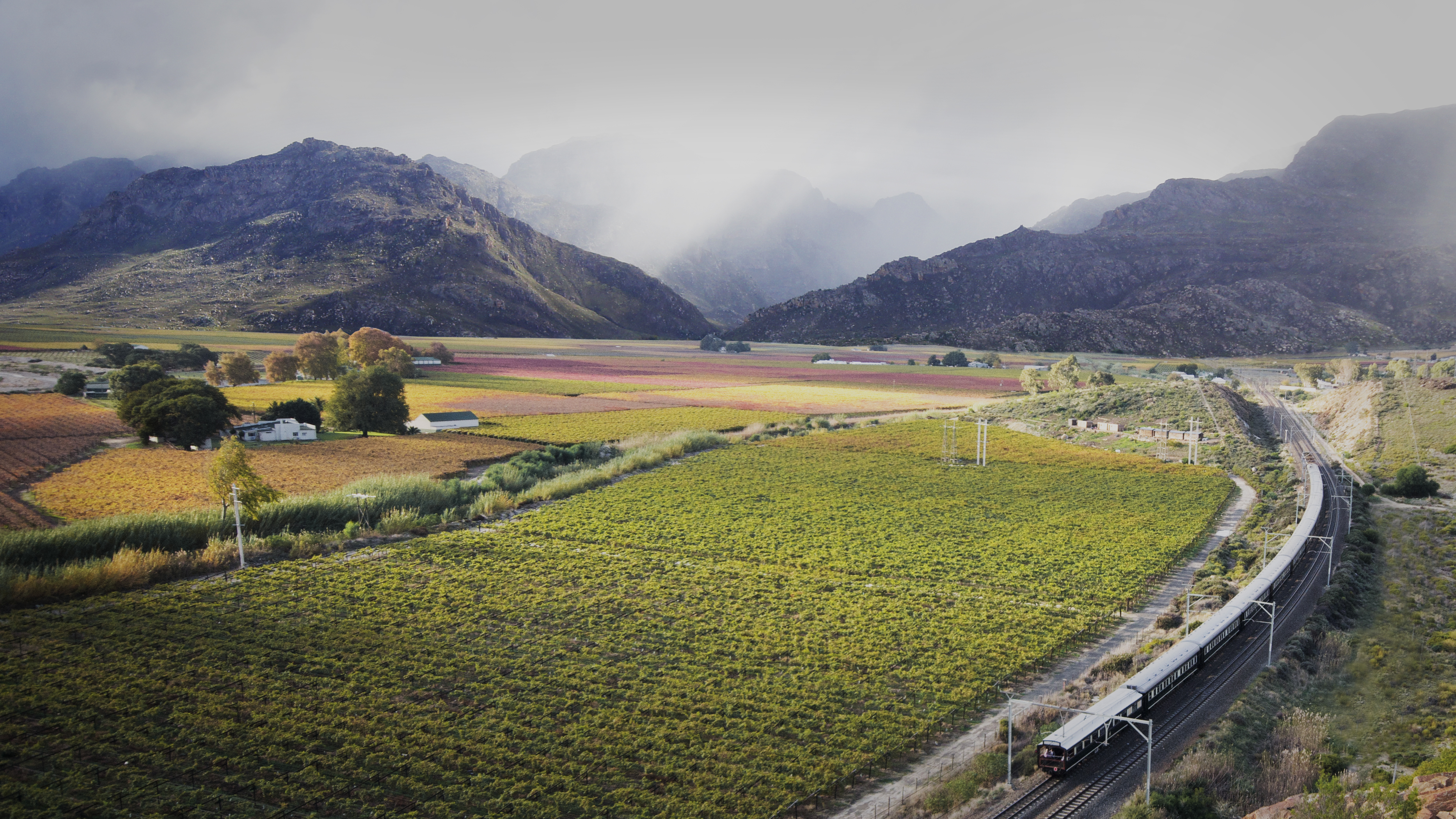 Rovos Rail's 35-Year Journey: Lessons in Passion, Vision and Resilience ...